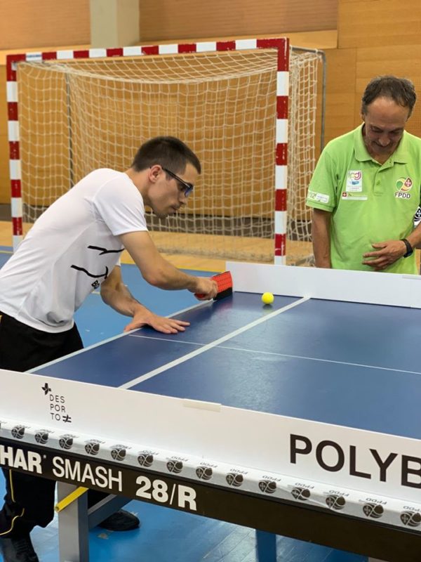 Polybat Classification | ParaVida Sport